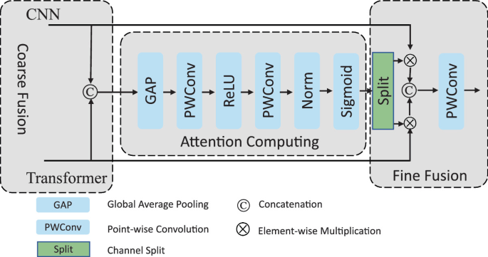 Hybrid CNN and Low-Complexity Transformer Network with Attention-Based Feature Fusion for ...