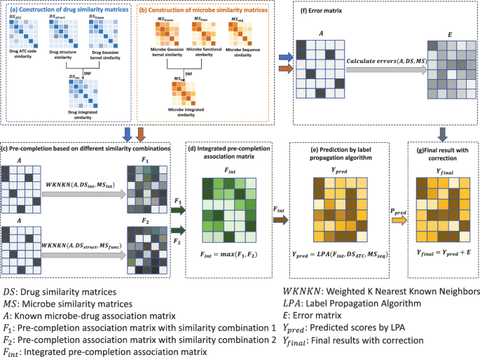 MEMDA: A Multi-similarity Integration Pre-completion Algorithm with Error Correction for ...