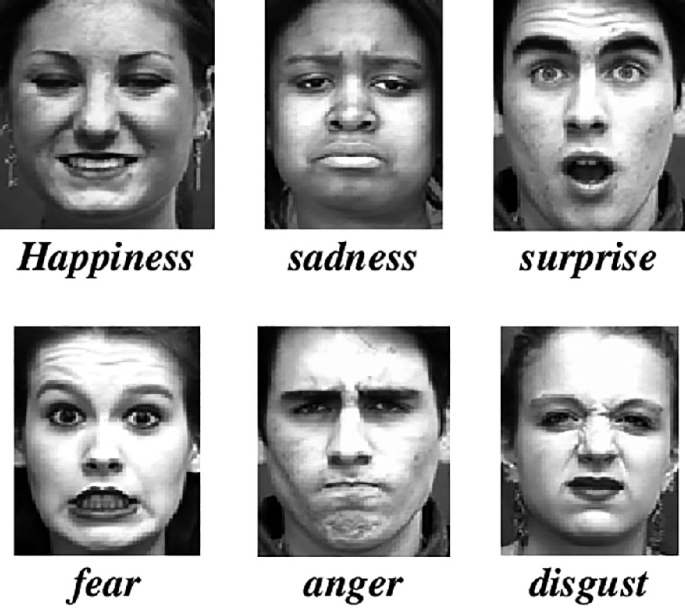 Exploration of Gesture and Facial Expression-Based Emotion Recognition ...