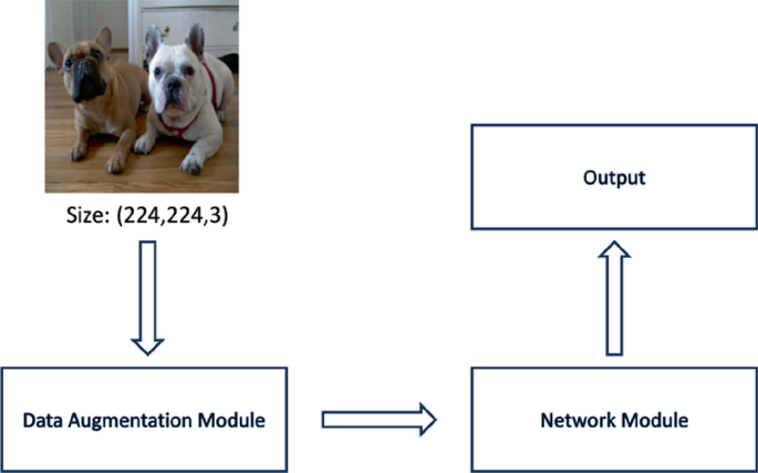 Deep Learning-Based Species Classification Using Joint ResNet and Data ...