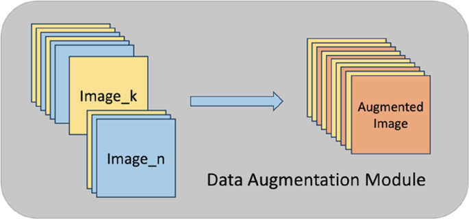 Deep Learning-Based Species Classification Using Joint ResNet and Data ...
