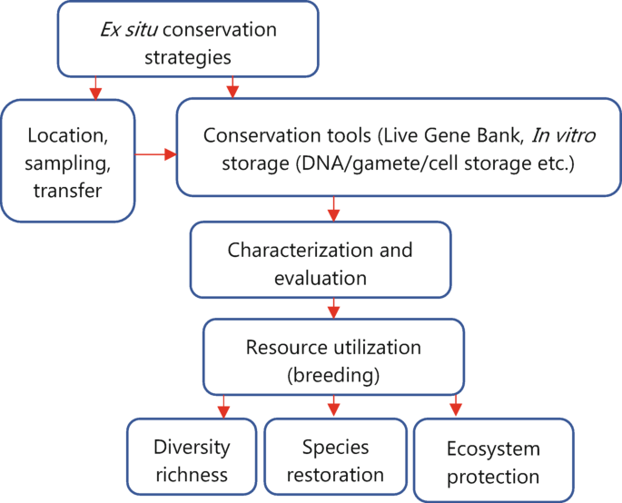 Ex Situ Conservation: Status, Strategies and Challenges | SpringerLink