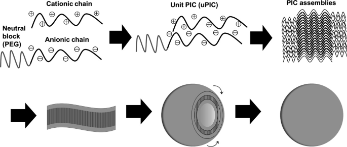 Recent Progress of Polyion Complex Vesicles (PICsomes) for Biomedical ...
