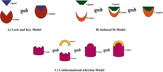 Challenges and Opportunities for Analyzing Protein–Ligand Interactions ...