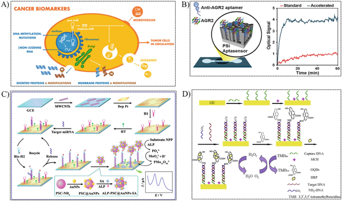 Biosensors for Rapid and Early Detection of Chronic Diseases | Springer ...