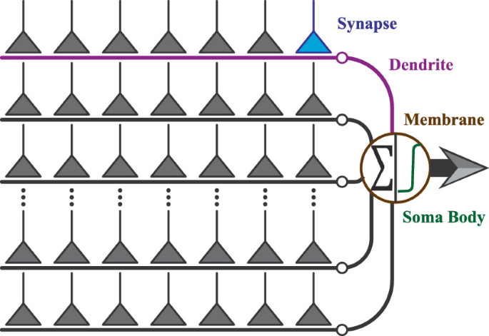 Visual Analytics of Learning Behavior Based on the Dendritic Neuron Model | SpringerLink