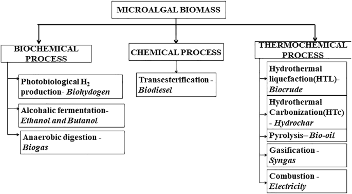 Microalgae: A Sustainable Bio-Factory for High-Value-Added Product ...