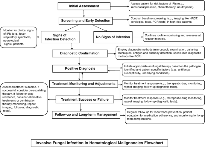 Invasive Fungal Infection in Hematological Malignancies | Springer ...