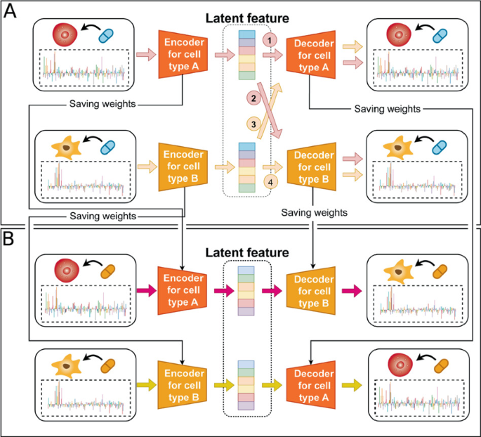 CDDTR: Cross-Domain Autoencoders for Predicting Cell Type Specific Drug ...