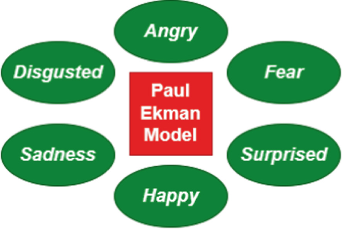 “Transforming Emotions: A Comprehensive Review of Text Emotion Detection with Transformer Models ...