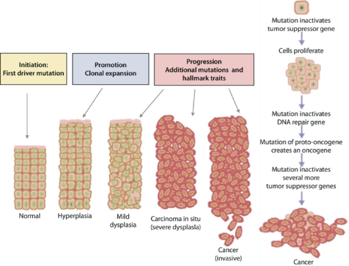 Disease Diagnosis and Management Using Bioinformatics and Cyber ...
