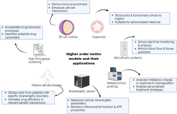Higher-Order In Vitro Models of Dysregulated Bioenergetics Mechanisms ...