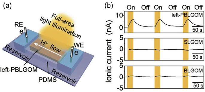Photo-Induced Control of Ionic Devices | Springer Nature Link