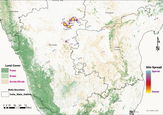 Southern Neolithic Culture of India: People, Plants, and Animals ...