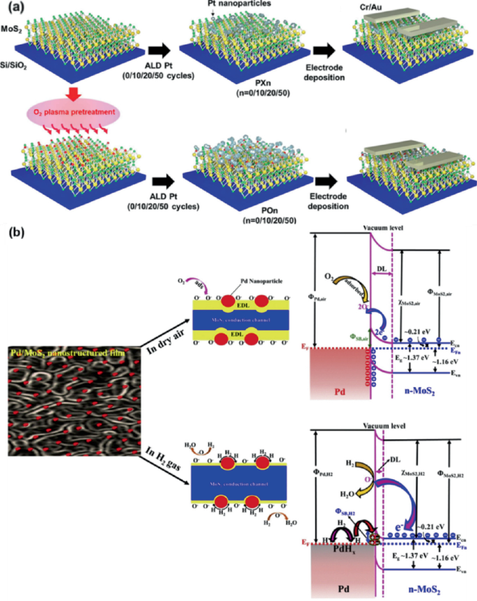 2D-MoS2 and WS2-Based Chemical Gas Sensor | SpringerLink