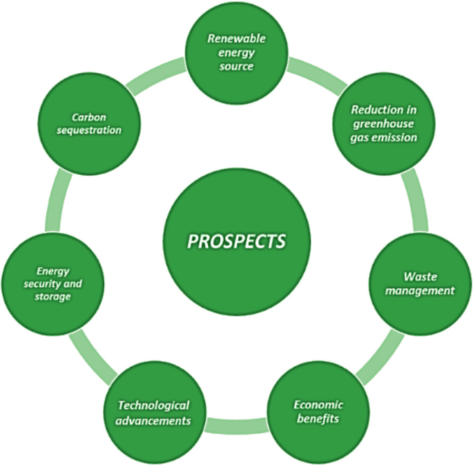 Sustainable Utilization of Biomass Resources | SpringerLink