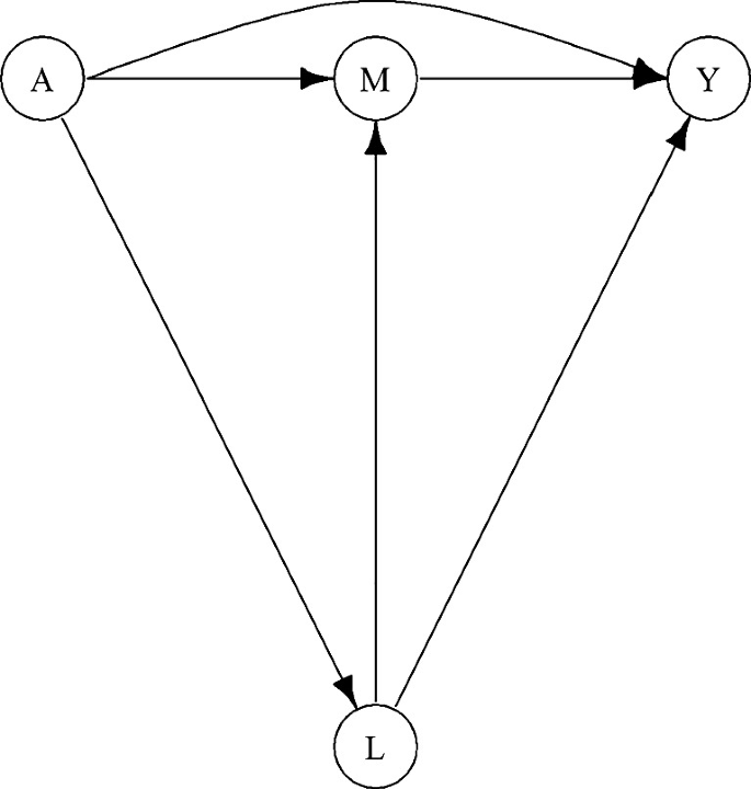 Mediation in the Causal Inference Framework | SpringerLink