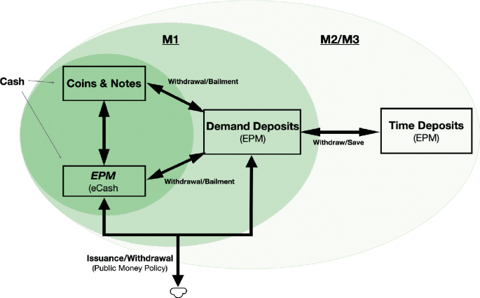 Transition to Public Money System | SpringerLink