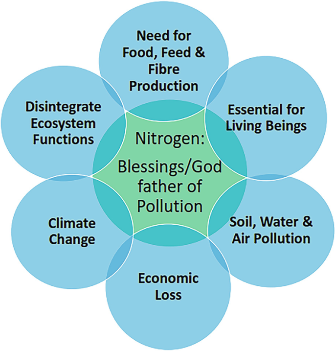 Nitrogen Management Options: Challenges, Potentials, and Prospects ...