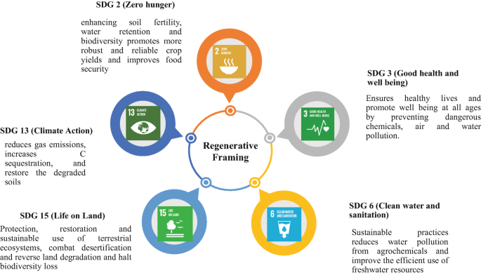 Regenerative Agriculture and Sustainable Development Goals | SpringerLink