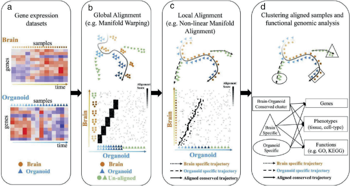 Differential Expression Analysis | SpringerLink