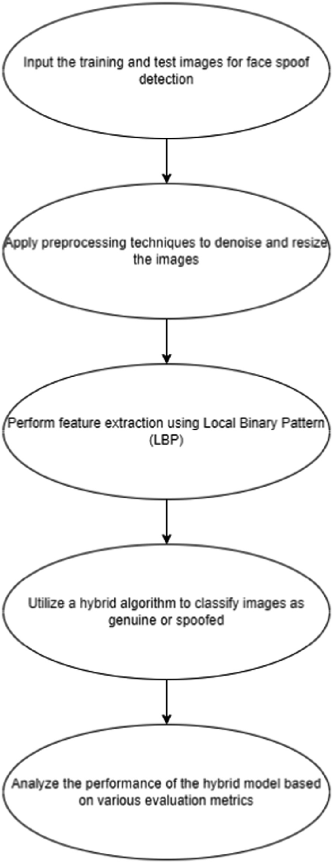 Facial Authenticity and Spoofing Detection | SpringerLink