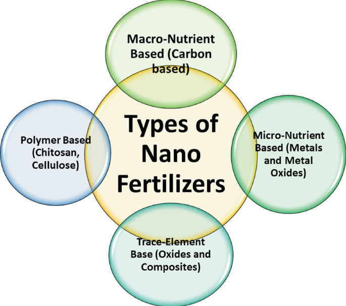 Nano-Biofertilizers and Nano-Biopesticides: Impact of Future ...