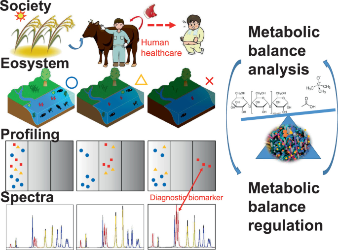NMR Data Science | Springer Nature Link