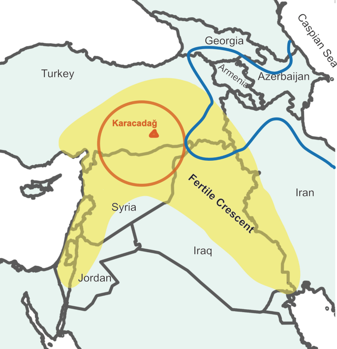 Wheat: Recent Advances in Genomics to Explore the History of ...