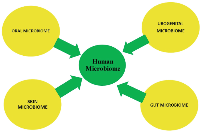 The Microbiome and Cancer: Understanding the Role of Microorganisms in ...