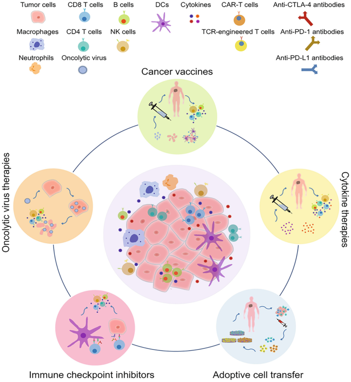 Introduction to Cancer Immunotherapy | Springer Nature Link
