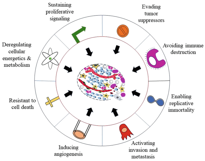 Therapeutic Hallmarks of Cancer and Immunology | Springer Nature Link ...