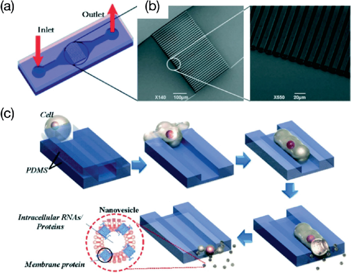 Engineered and Artificial Exosomes for Non-viral Drug Delivery ...