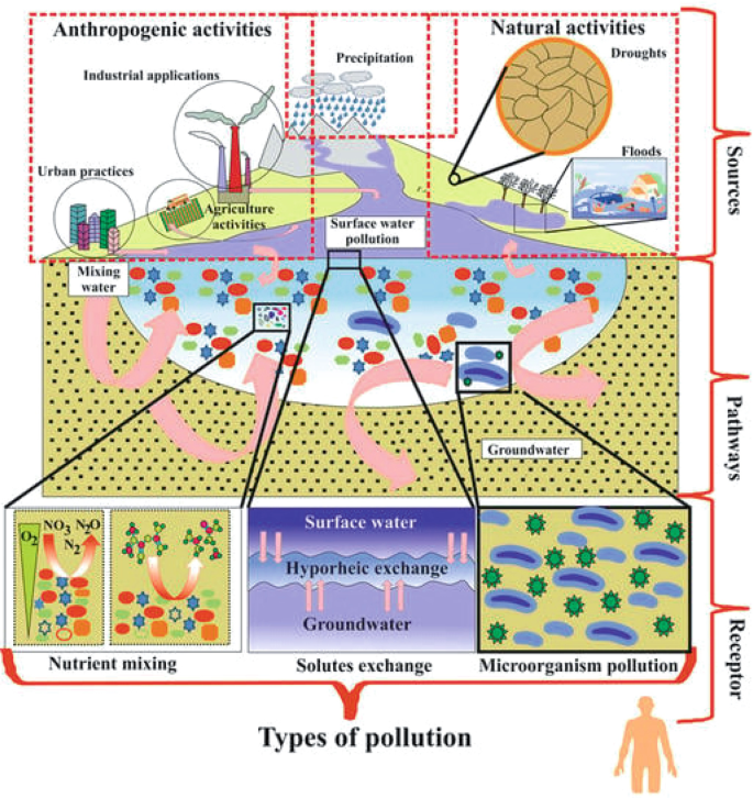 Environmental Pollutants: Endocrine Disruptors/Pesticides/Reactive Dyes ...