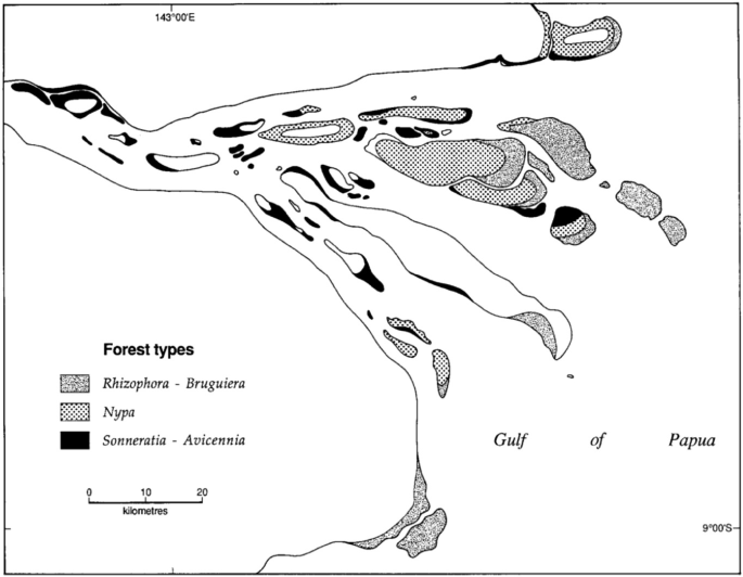 Fly River Delta | SpringerLink