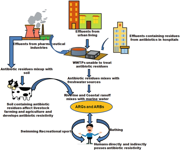 AMR in Freshwater and Marine Environments | SpringerLink