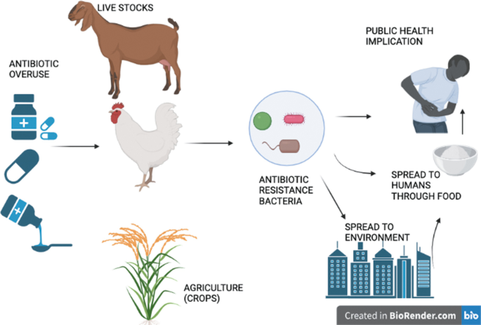 Public Health Food Safety (Farmed Aquatic Organisms/Live Stocks/Crops ...
