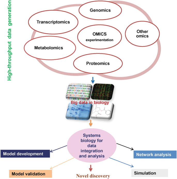 Systems Biology: Insights, Advances, and Challenges | SpringerLink