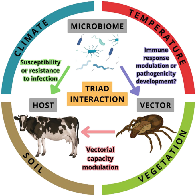 Tick Immunoendrocrinology: A Novel Approach to Develop Strategies to ...