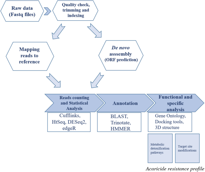 Unlocking Tick Resistance with Transcriptome-Based Bioinformatics | SpringerLink