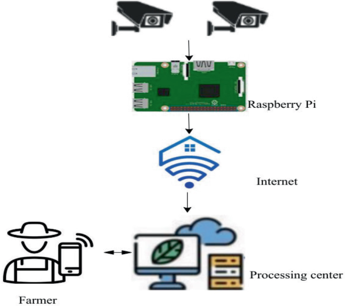 IoT-Enhanced Tomato Leaf Disease Identification Using MLP-Mixer in Agricultural Environments ...