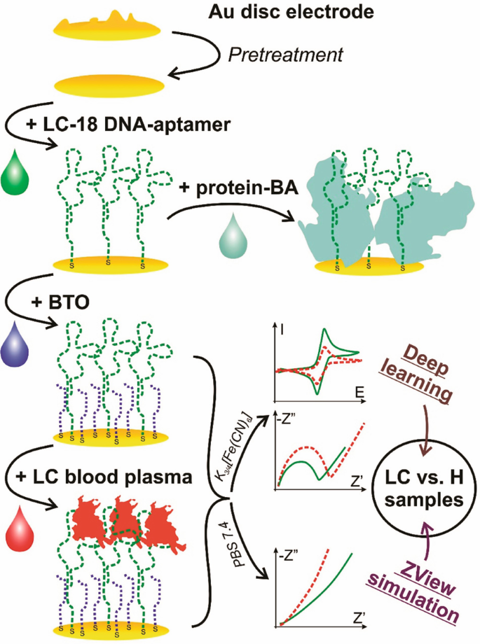 Aptamer-Based Nanoparticles for Cancer Therapy | Springer Nature Link