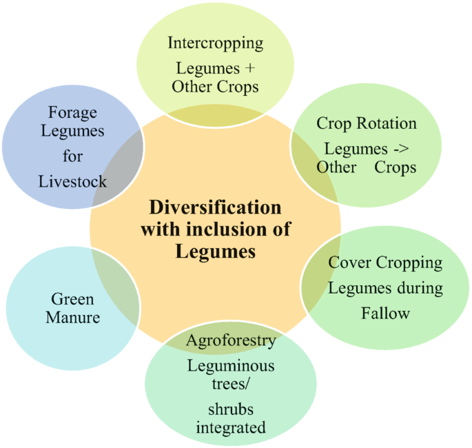 Crop Diversification with Legume for Sustainable Production and ...