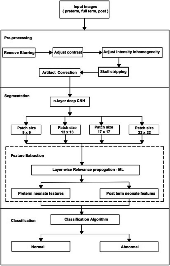 Artificial Intelligence Based Techniques for Identification of Neonatal ...