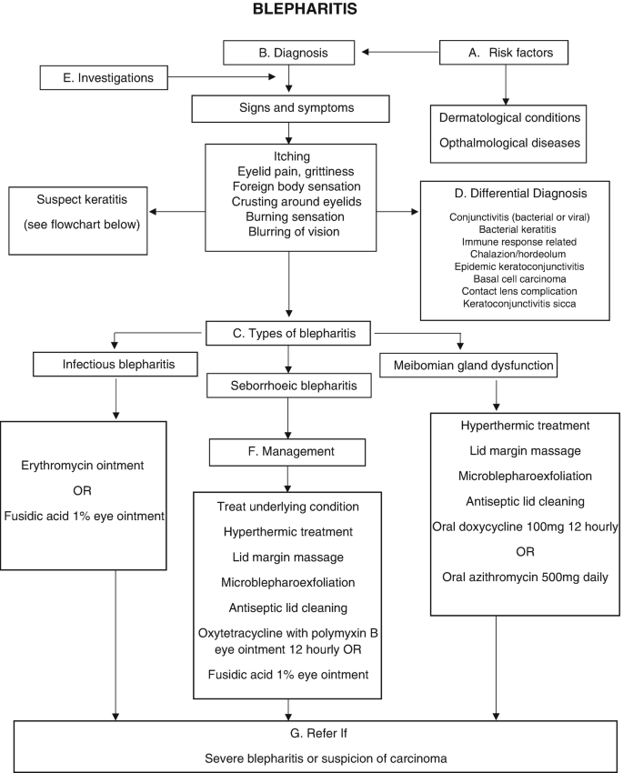 Blepharitis and Keratitis | Springer Nature Link