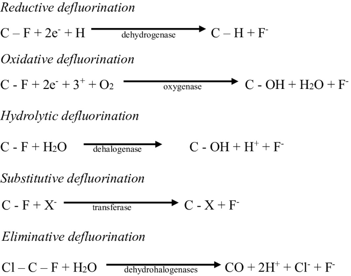 Fate of Fluorinated Compounds in Wastewater and Wastewater Treatment ...