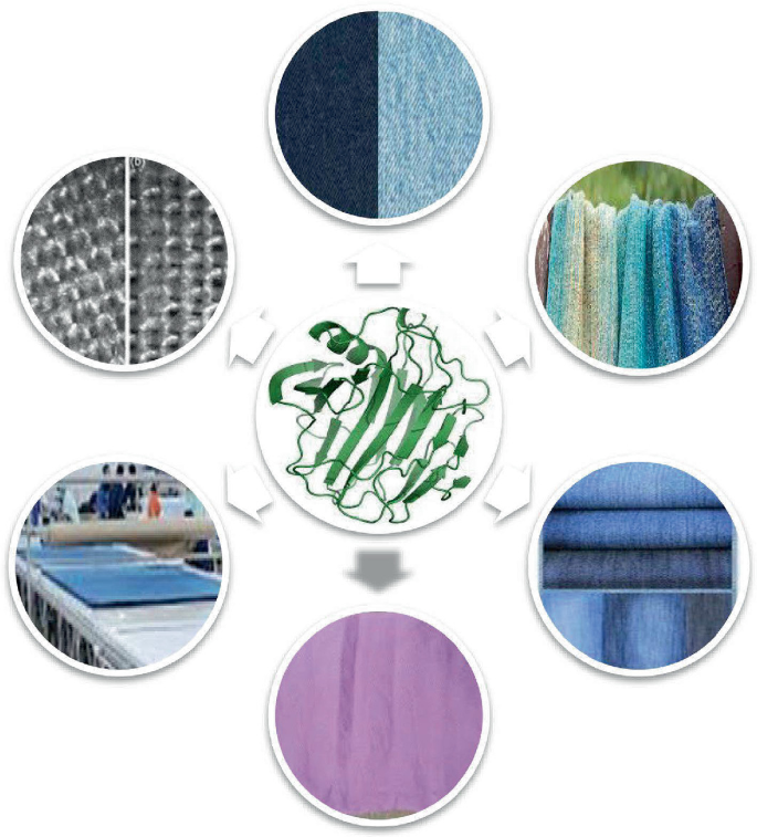 Practical Aspect of Handling the Use of Cellulases in the Textile ...