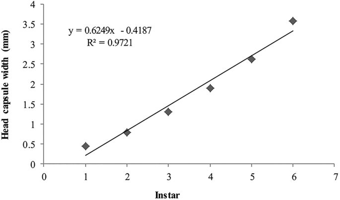 Bihar Hairy Caterpillar: Taxonomy, Biology and Management in Soybean ...