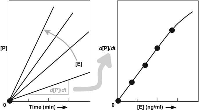 Principles of Enzyme Assays | SpringerLink