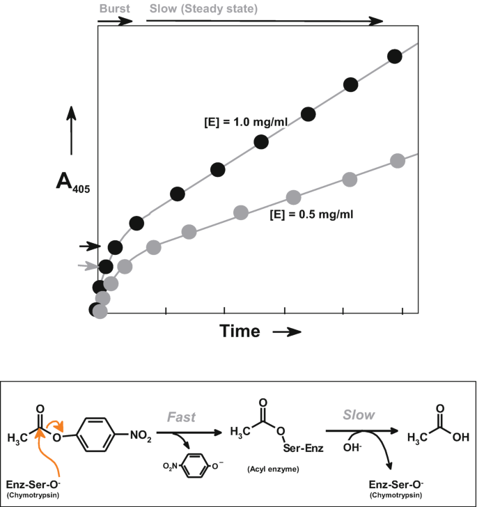 Nucleophilic Catalysis and Covalent Reaction Intermediates | SpringerLink